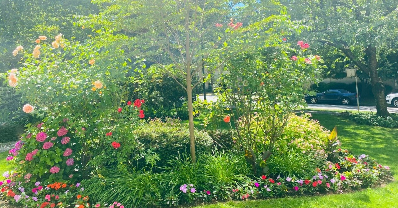 VancouverでNsをめざすReiko.Fです😊｜Reiko.F