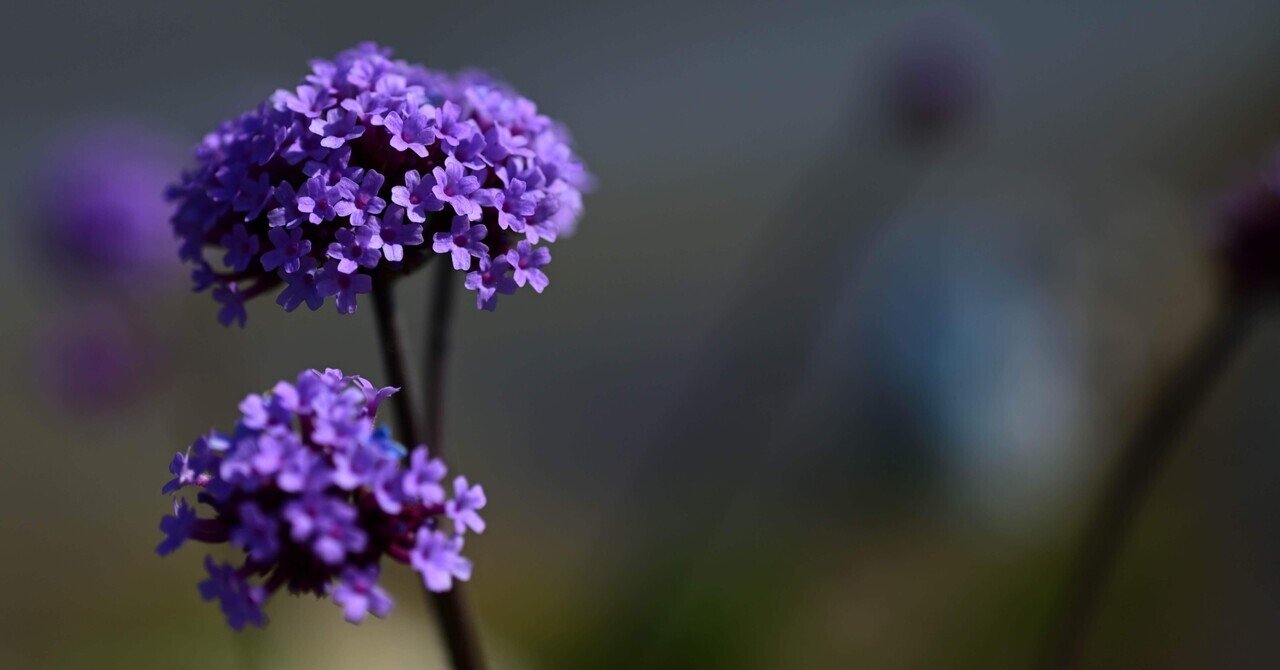 短歌｜Shinichi Sendagi