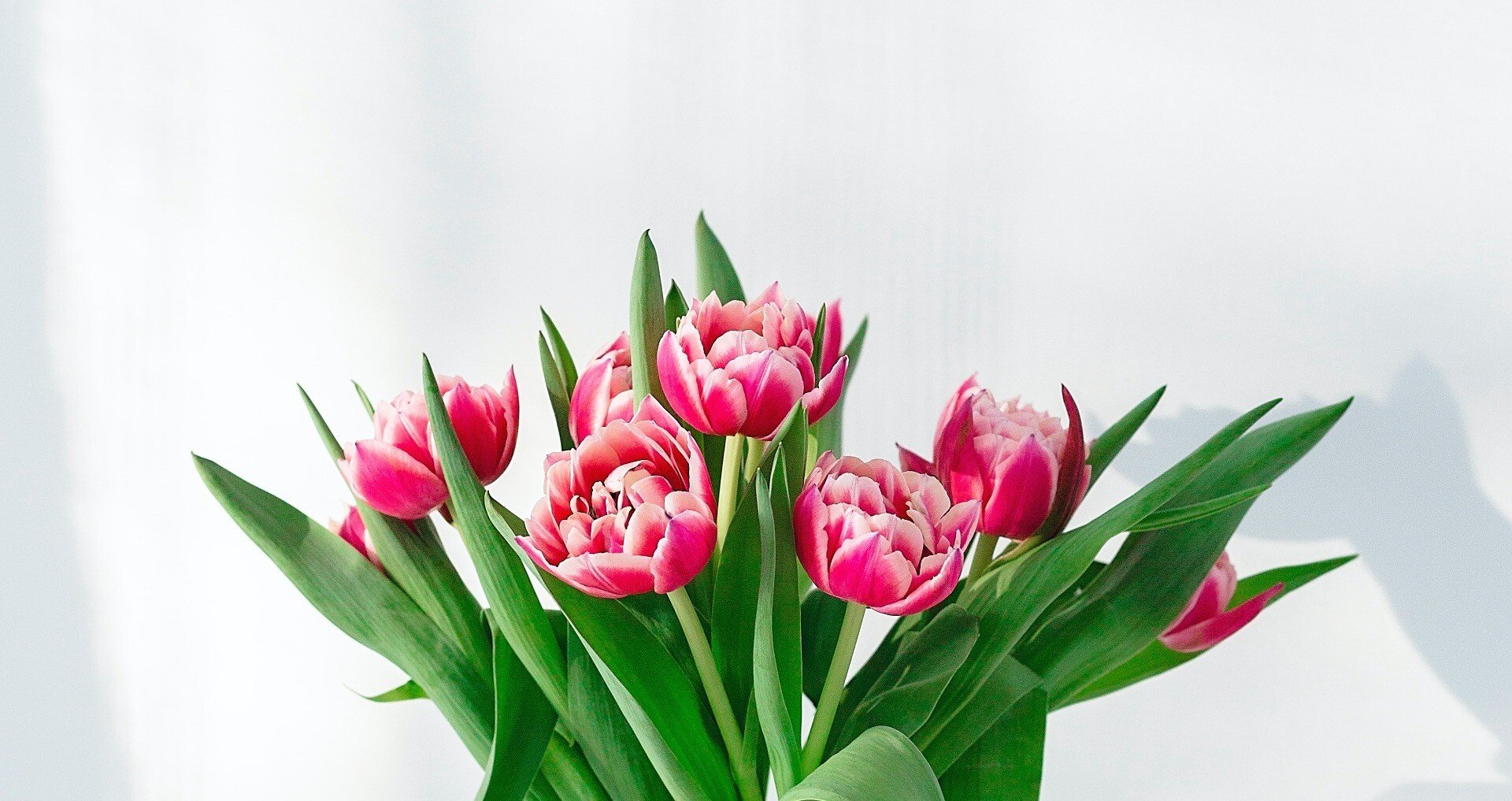 Kindle書籍⇒note販売はこちら｜Emika@Nihongo Blog｜note