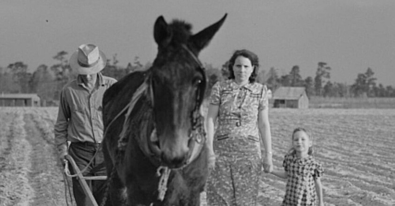 写真録 馬⑯ ジョージア州ヘイズスハーストの農場で畑を耕す馬と、その家族(1941|江島 達也/対州屋