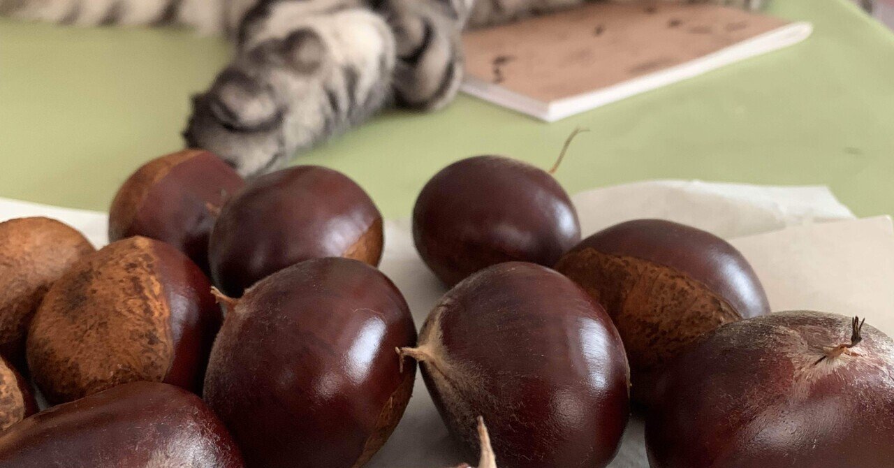 ワイヤレスデビュー｜kyo☆ko