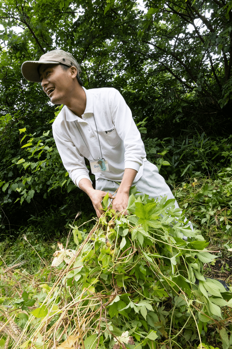 アジア学院🌿7日目｜吉田 彩夏/Ayaka Yoshida