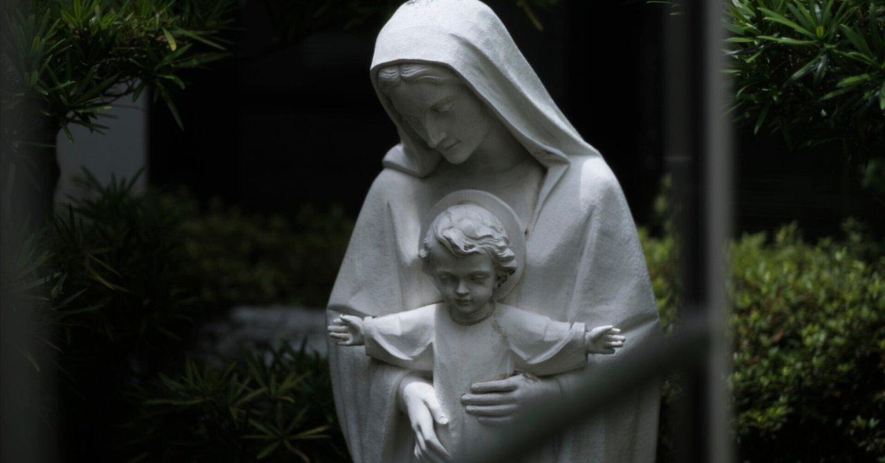 Dialogue With Mary_愛媛_2023_02｜Dialogue With Mary @shinya-hirose