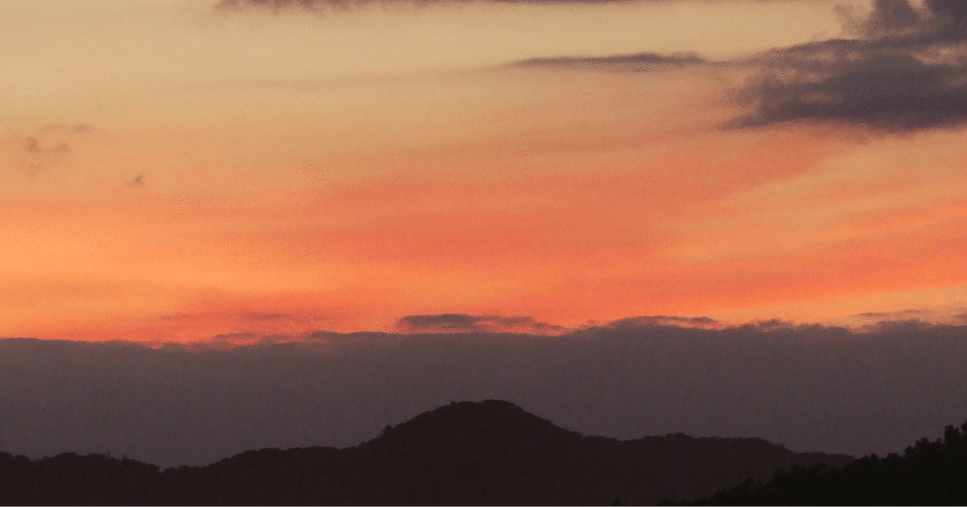 atsushi matsuo｜note