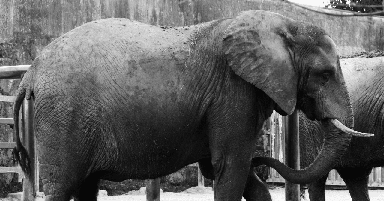 コツ：何から手を付けていいのか分からない課題に対して｜Quatrex