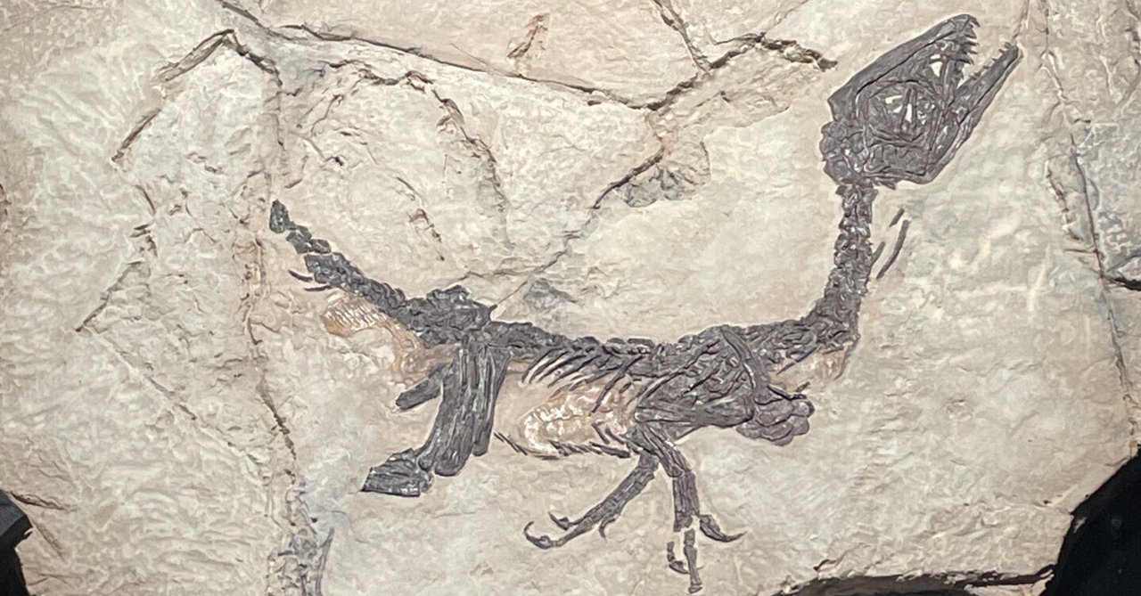 私はシルバー｜Chie_Matsui