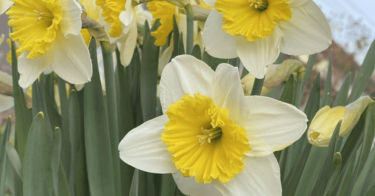 下関4R 16：27｜競艇マニア