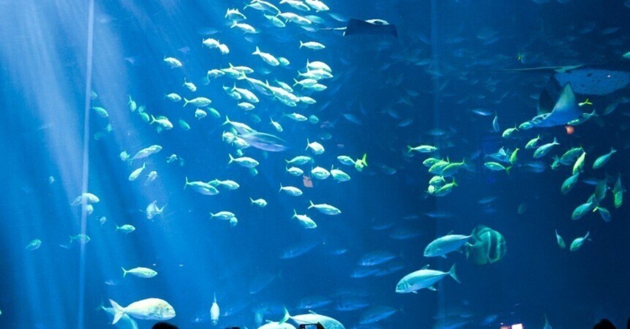 四国へ。2023｜donguri