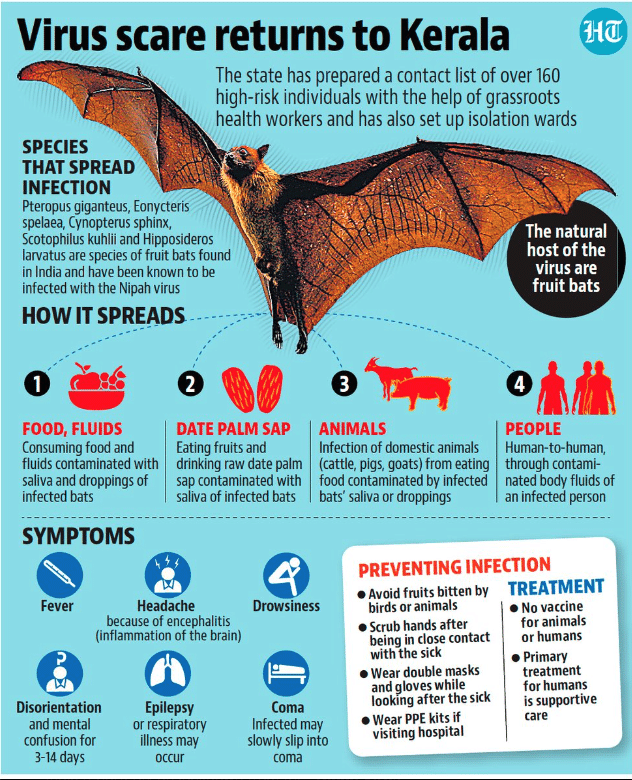 Dr Pilon (パイロン先生)｜note