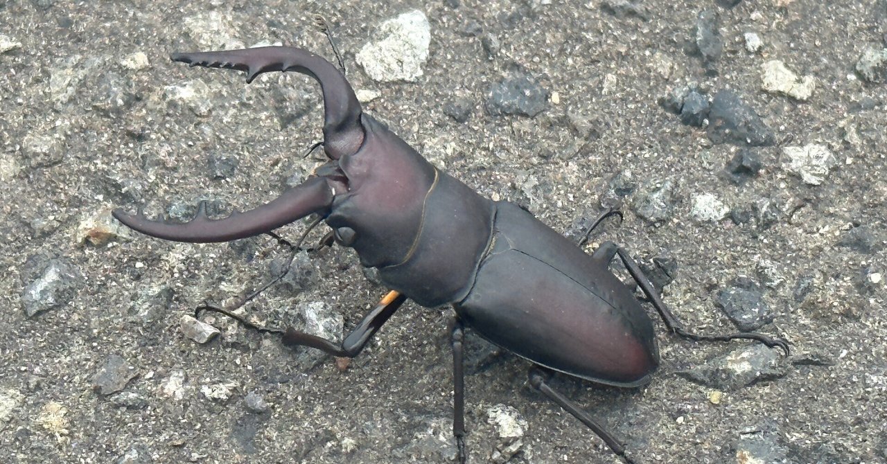 君じゃないんだよなぁ〜Come back HAPPY㉘｜Hiroyuki.M