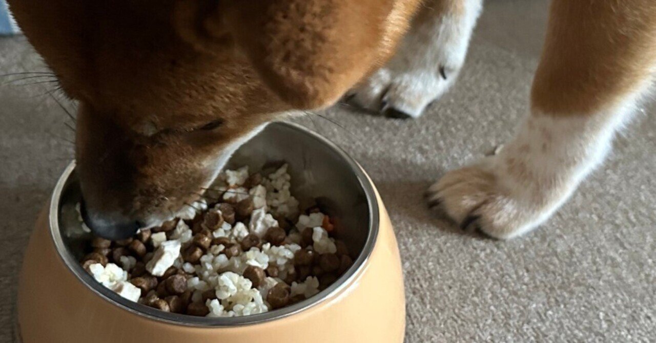 こなつチャンネル(45)こなつメシ v2.0｜NicePapa 平野 尚志