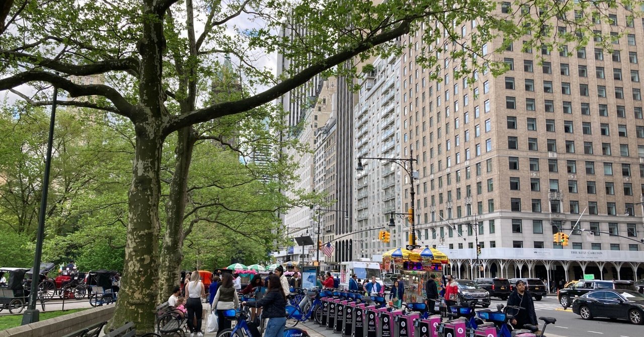 【まとめ】過去記事のリンク集｜須能玲奈 (Rena Suno)