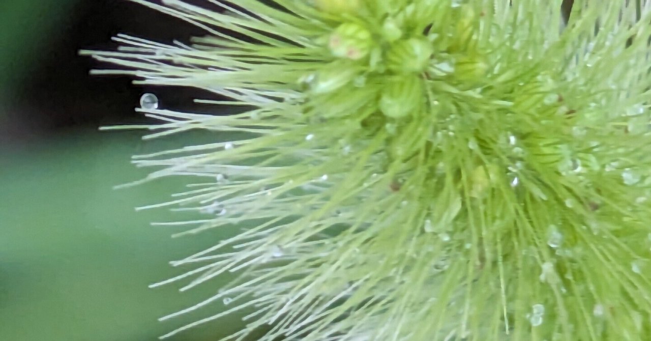 一枚の画像〜細い小さい｜ichiro70