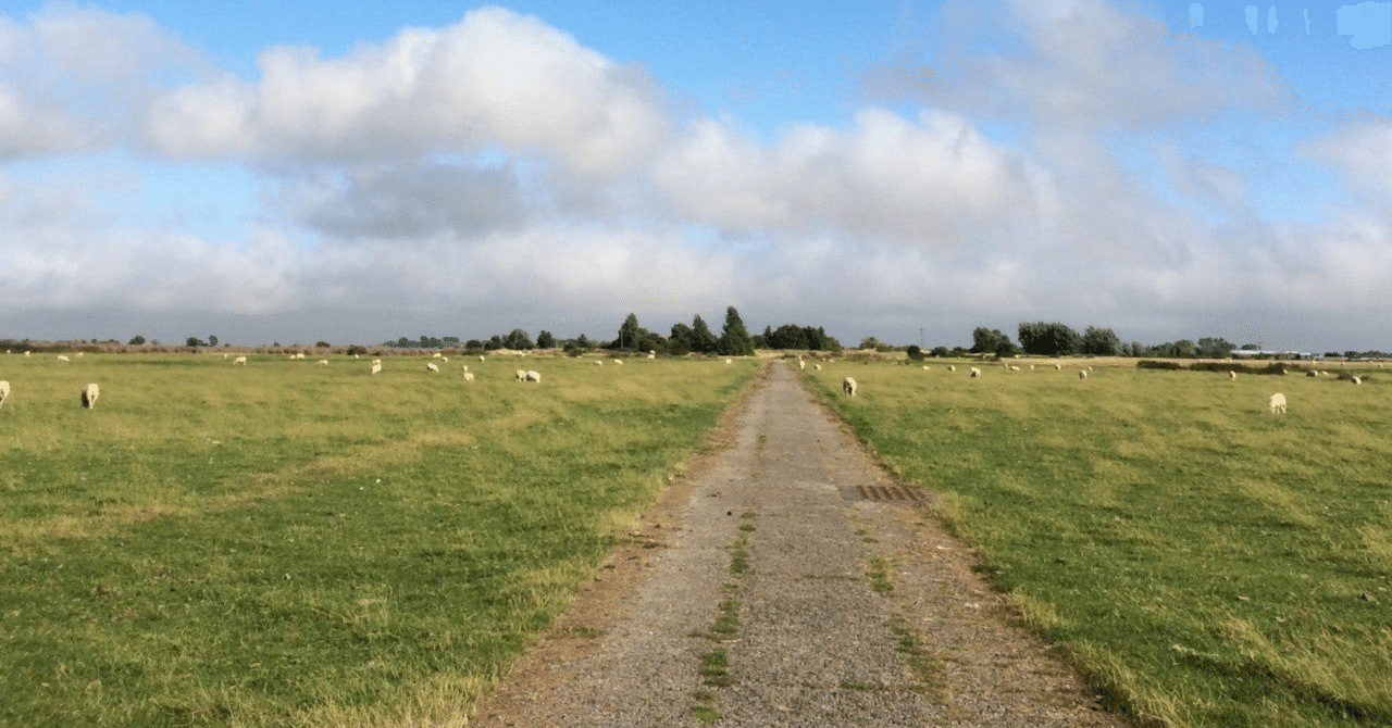 WOLあらすじ｜望生