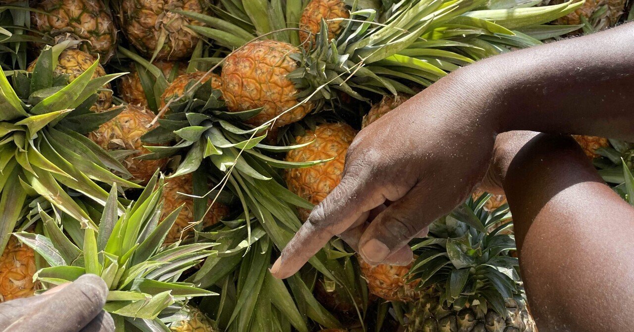 #13. ウガンダお買い物事情（カチリ編）🛍️｜SHOGO in Uganda🇺🇬