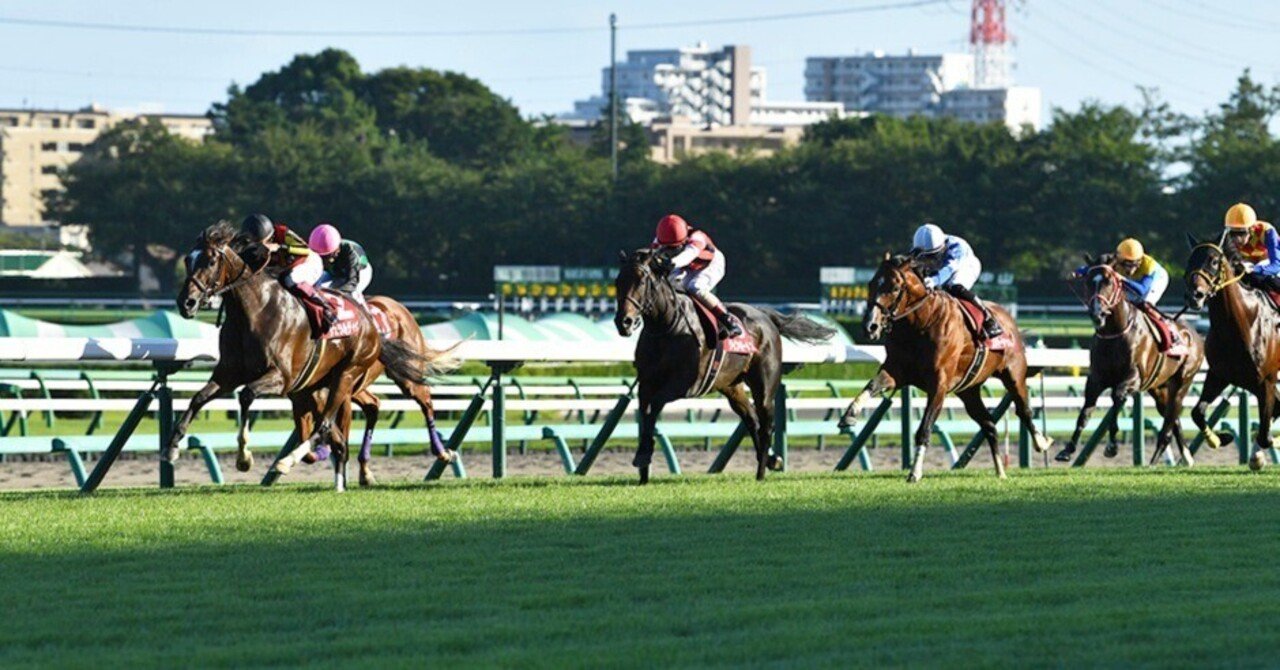 【2023 オールカマー（G2）】徹底的に攻略ラップ篇｜Haya