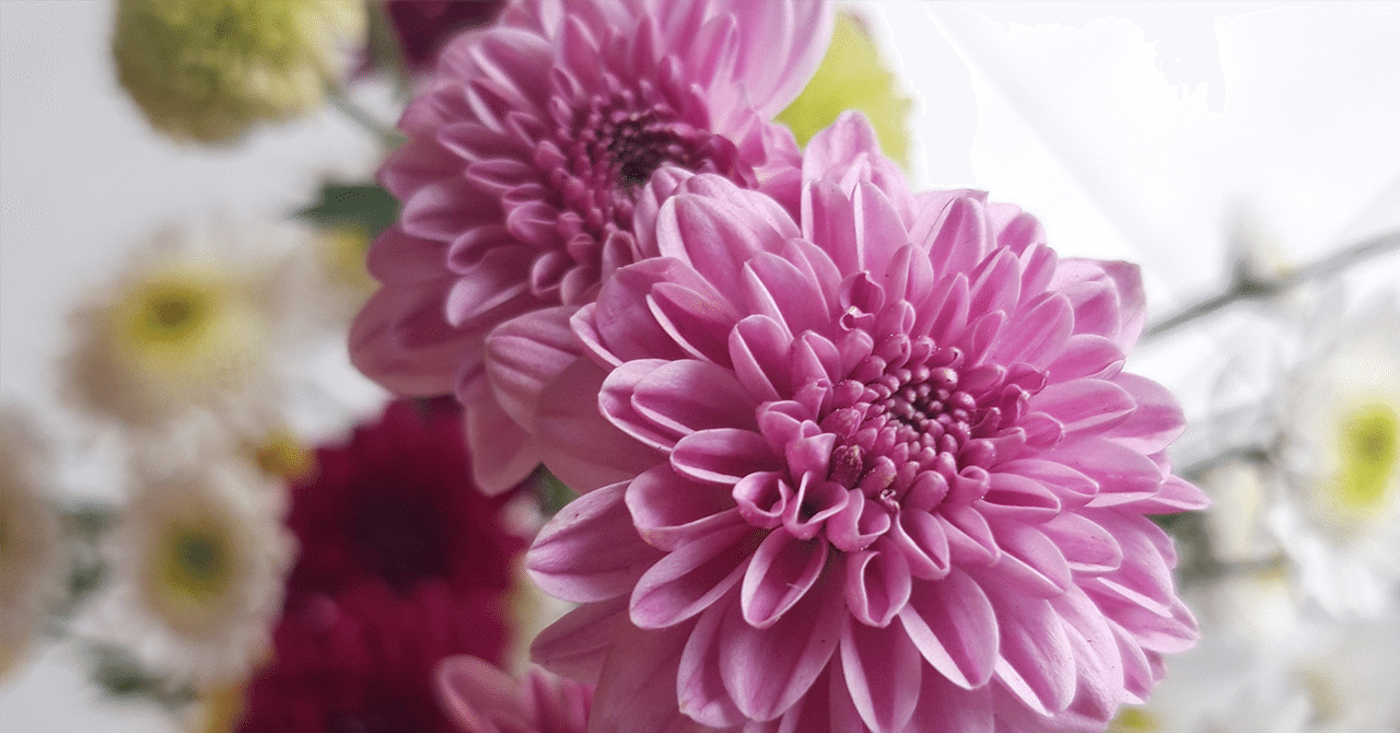 プロモーションに適したサイトとは？｜teaspooon｜Web・EC・HP・SNS等10年以上の経験者がサポート