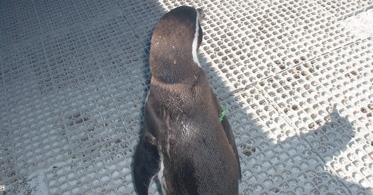 何故生きづらくなるんだろう｜青りんご