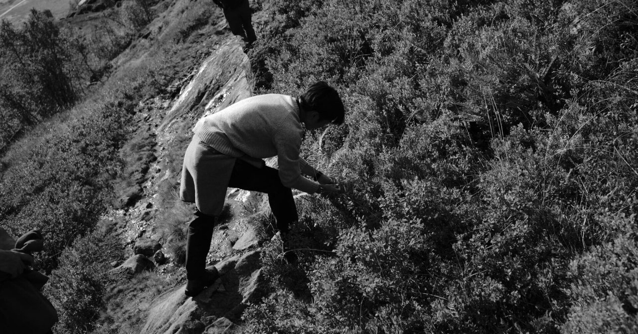 ノルウェー旅（後編）「Snøhettaにした4つの質問」｜KOTARO ANZAI