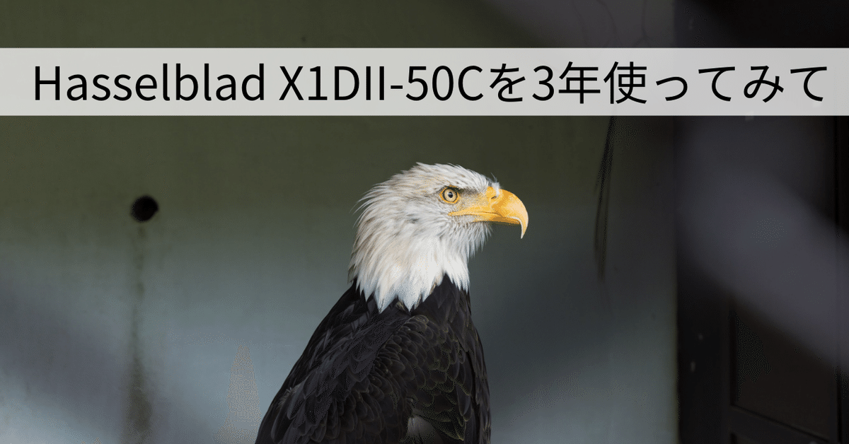 Hasselblad X1DII-50Cを3年使ってみて|Naoto Takazawa Hasselblad X1DII-50Cを3年使ってみて|Naoto Takazawa