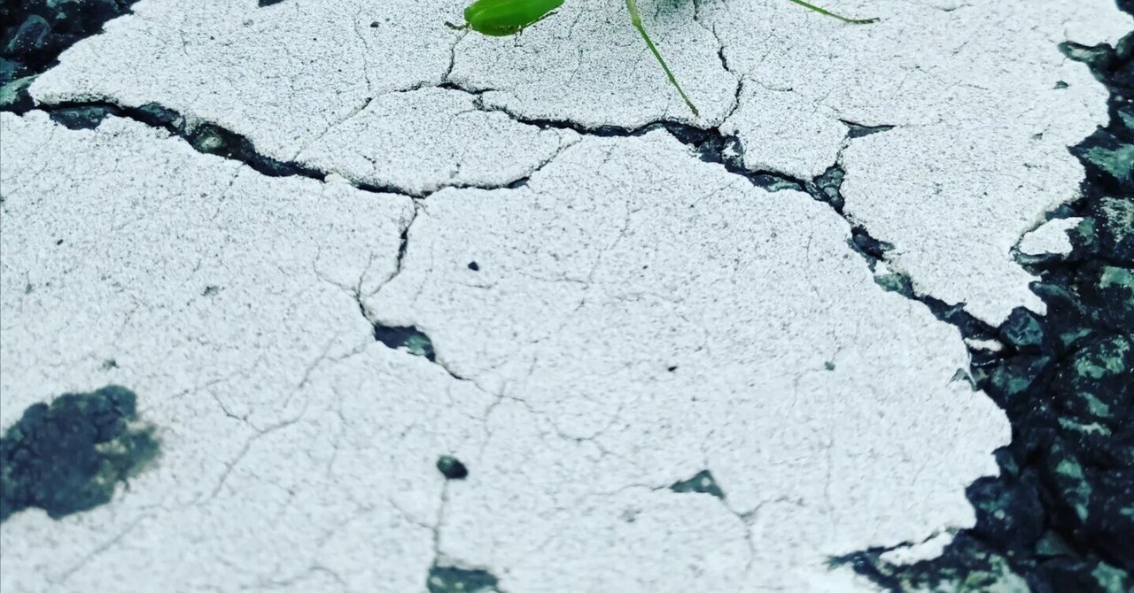 カマキリ｜mitsuki