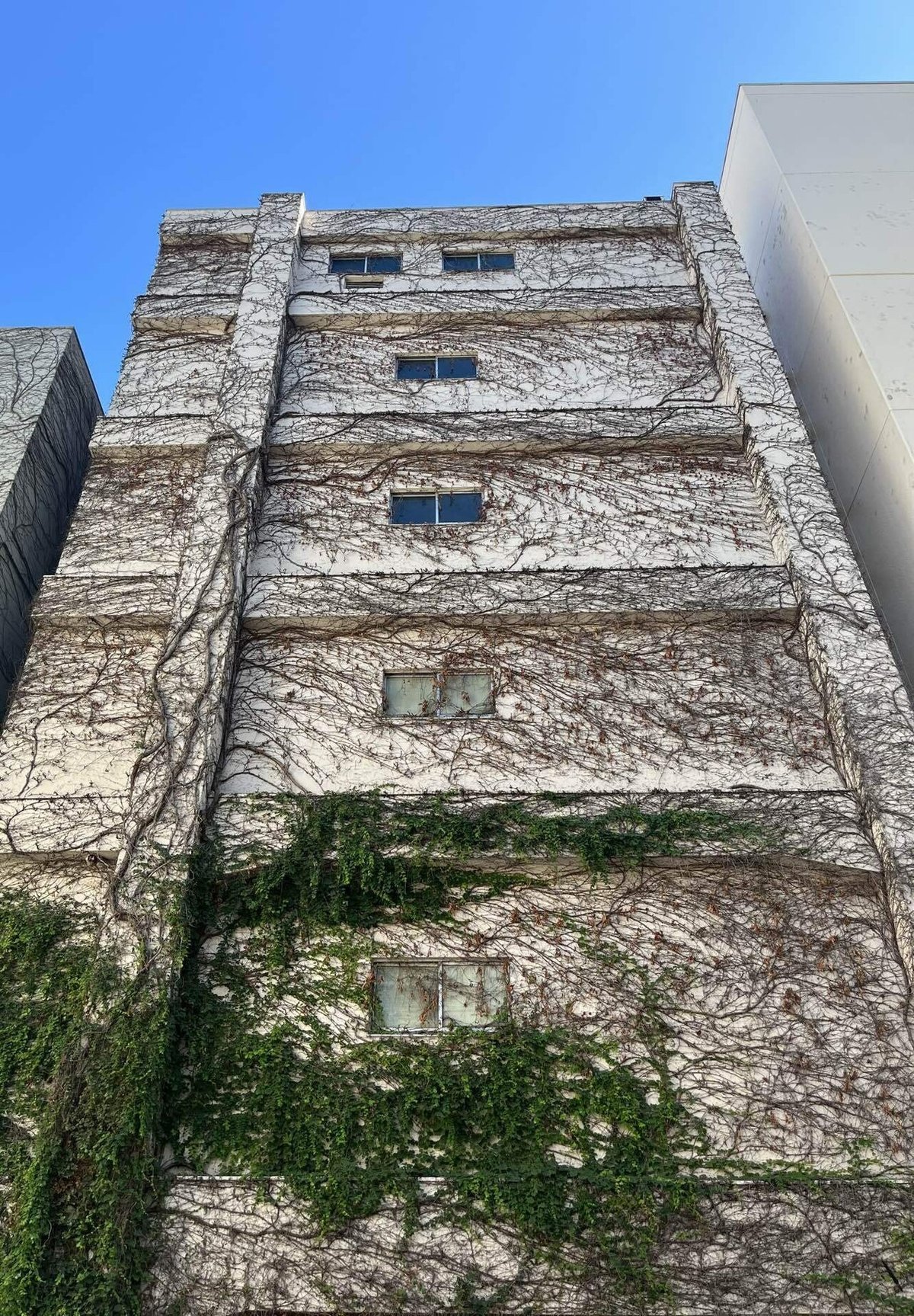 ライブレポ | OZROSAURUS NOT LEGEND at YOKOHAMA ARENA【セトリあり】｜Yoshiya Toda