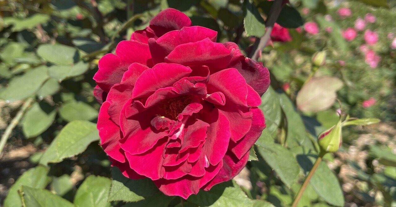 反省・改善｜KOSUKE