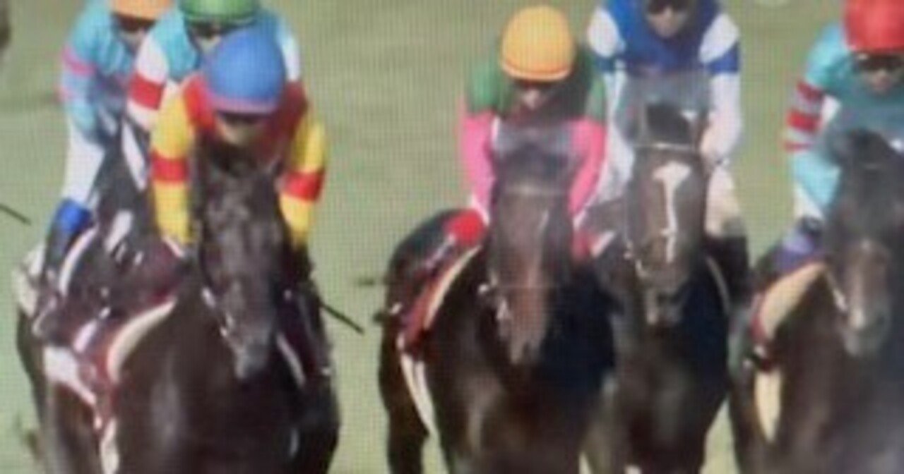 神戸新聞杯No.3｜shige