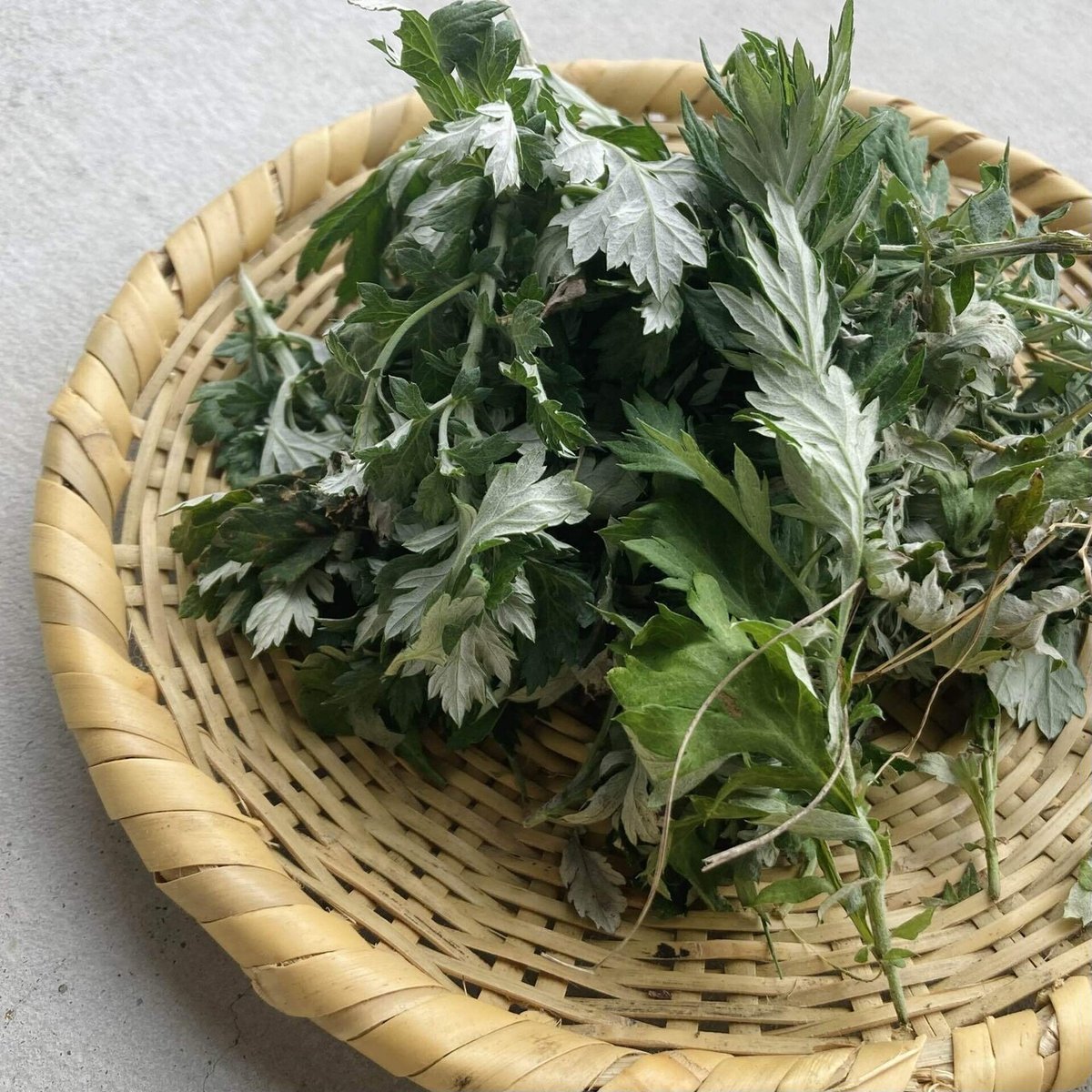 衣 |ひまな日曜日の「よもぎ」染め｜Petorashika_note