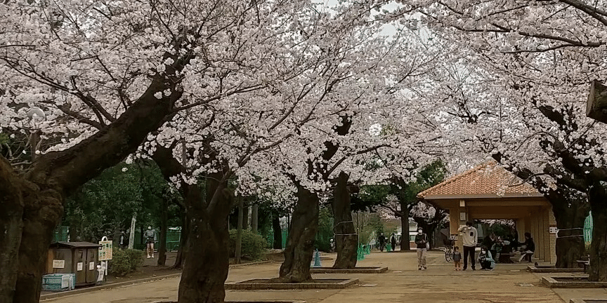 Makoto.setamaru｜note