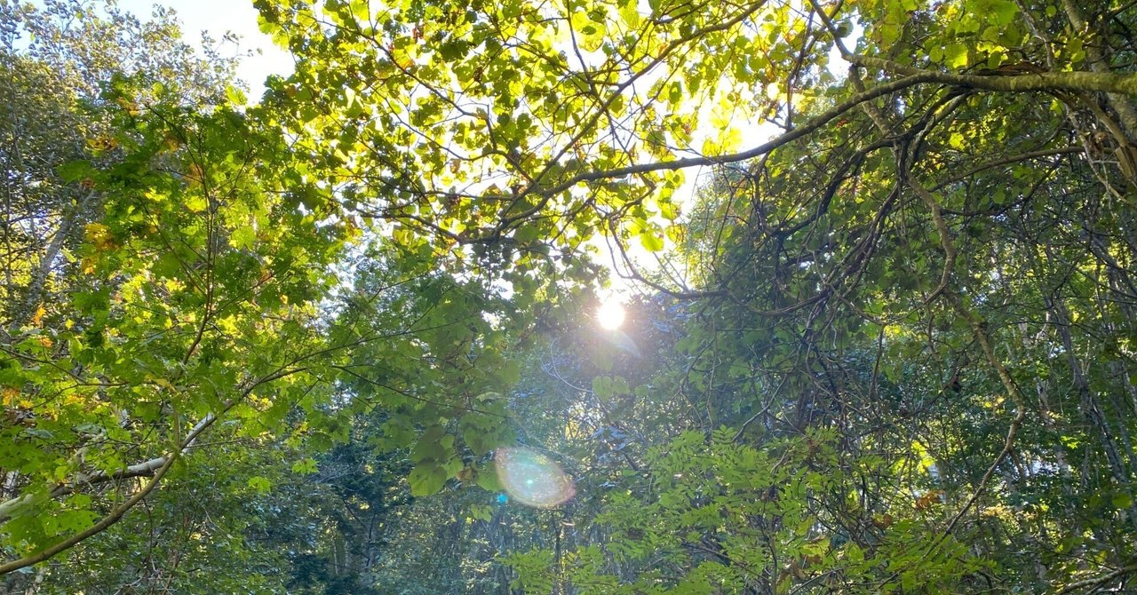 山行記録：朝里天狗岳（R5.9.24）｜kakbock（登山社労士）