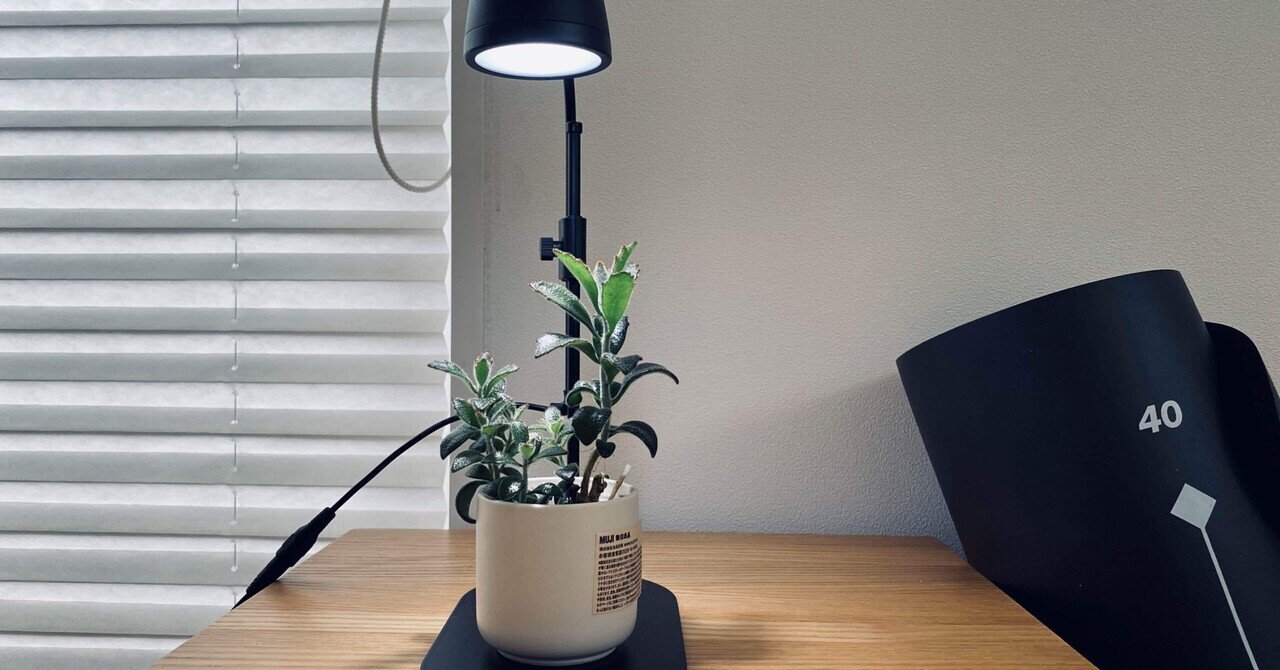 20230924｜休職日記 / nohk