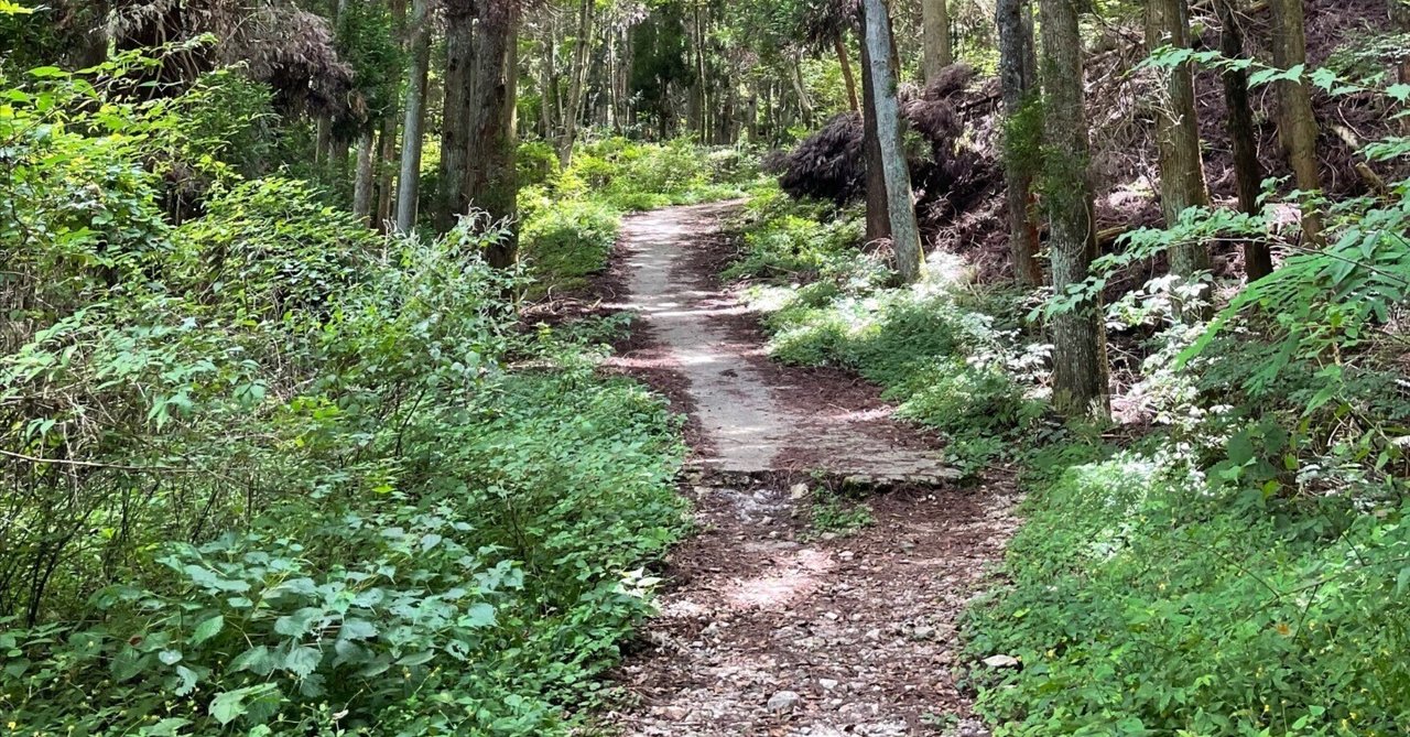 映像と動作をセットで記憶している？｜tr-kiyo