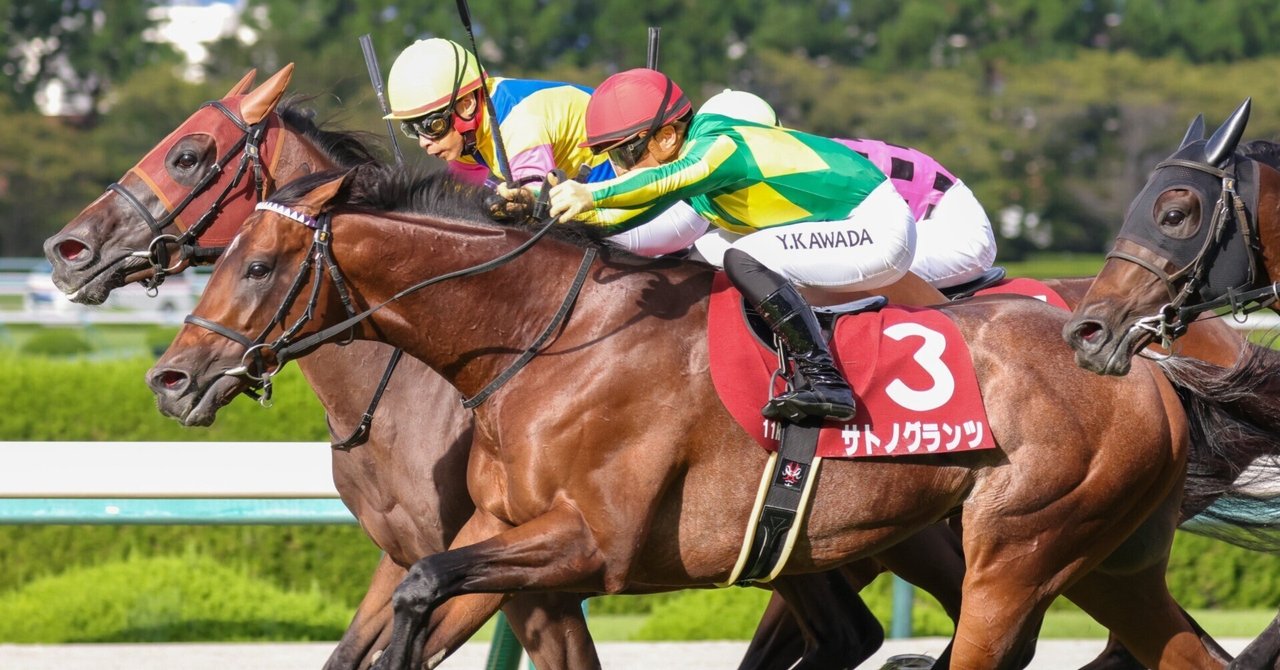 【神戸新聞杯（g2）回顧～その先へ】日刊コンピ篇｜haya