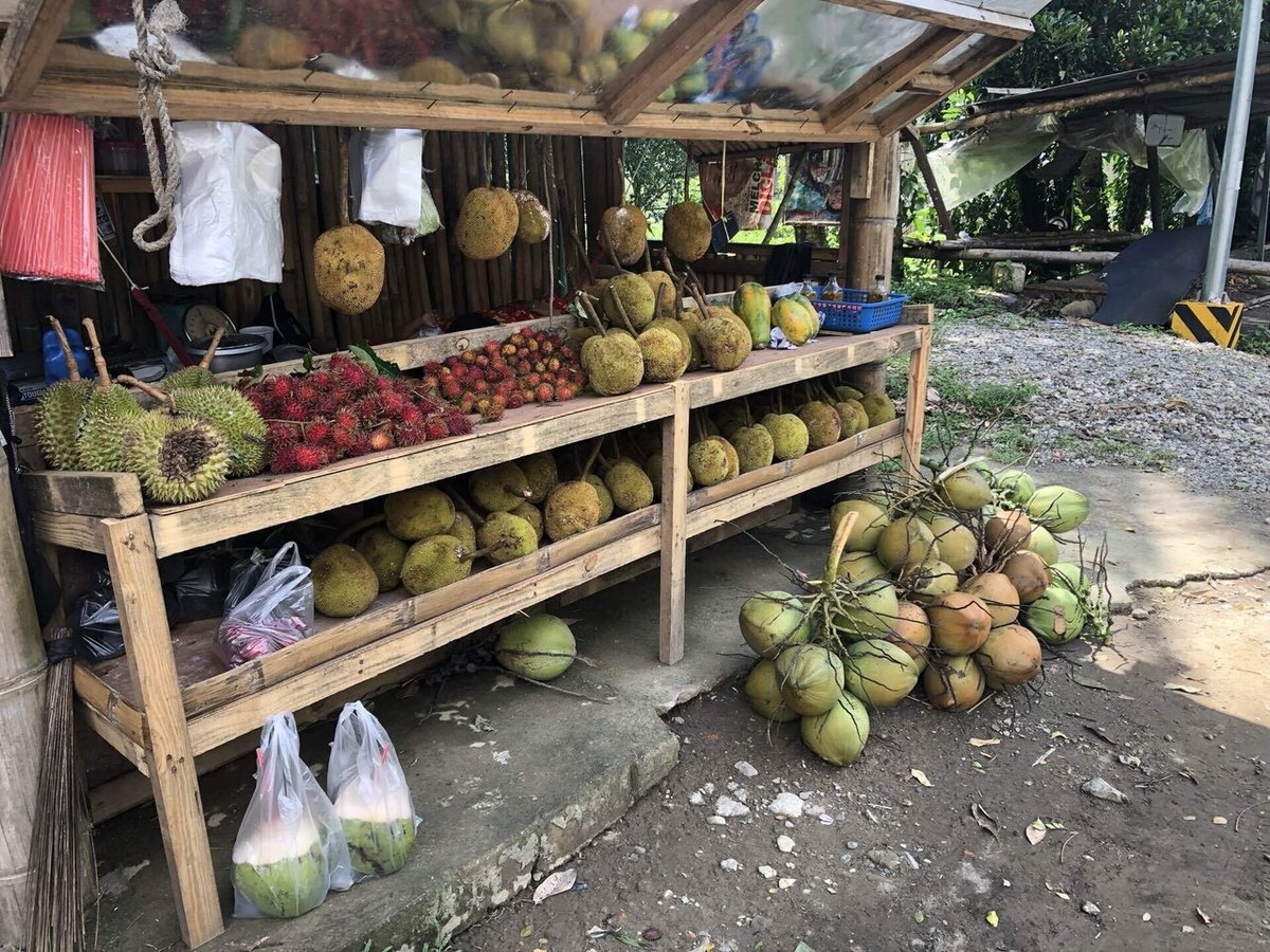 多分日本人初、フィリピンの山奥にある秘境、Gallano rice terracesへ｜K-SHIRO@自由人