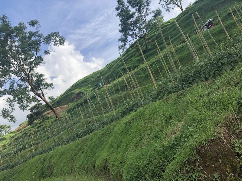 多分日本人初、フィリピンの山奥にある秘境、Gallano rice terracesへ｜Ken@ばっくぱっかー