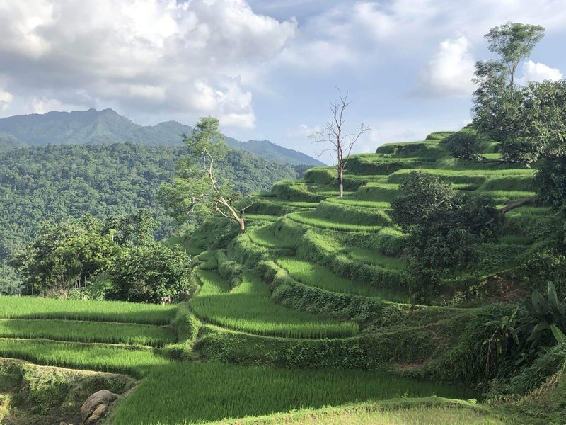 多分日本人初、フィリピンの山奥にある秘境、Gallano rice terracesへ｜Ken@ばっくぱっかー