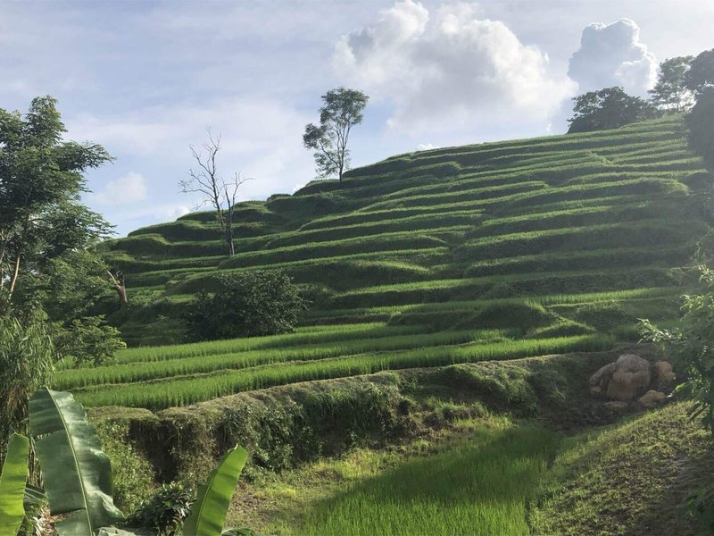 多分日本人初、フィリピンの山奥にある秘境、Gallano rice terracesへ｜Ken@ばっくぱっかー