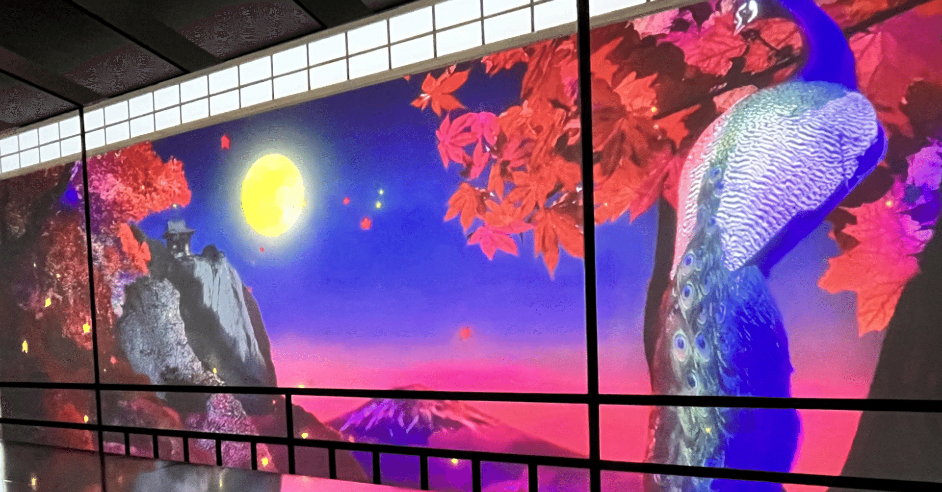 藤崎殊海（Kotomi Fujisaki）｜note