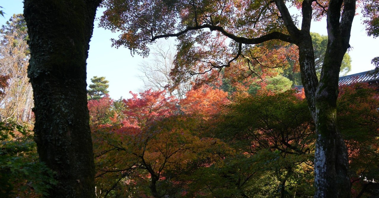 One way, but what Japan should do now, is to issue an open letter of ...