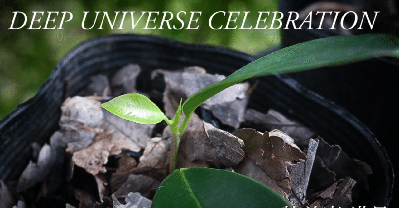 ／𓃦⸝⋆ ⢀𓏸お花が好きな方、植物やお花を扱っている方は特に感じていただきたいお話し🌱\𓏸𓂂𓈒𓂃𓃠｜Shuna Kana ｼｭﾅ ｶﾅ