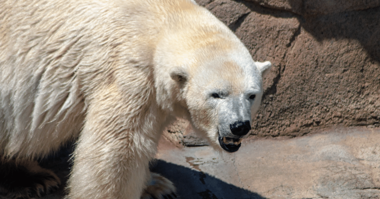 [将棋]穴熊崩すときにこういう手を感覚的にさせると良いよねっていう話｜tomot_shogi