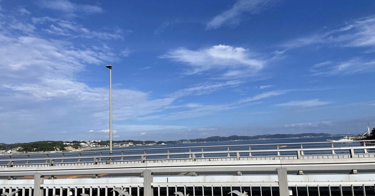 チューリップと記憶と…｜Romi K