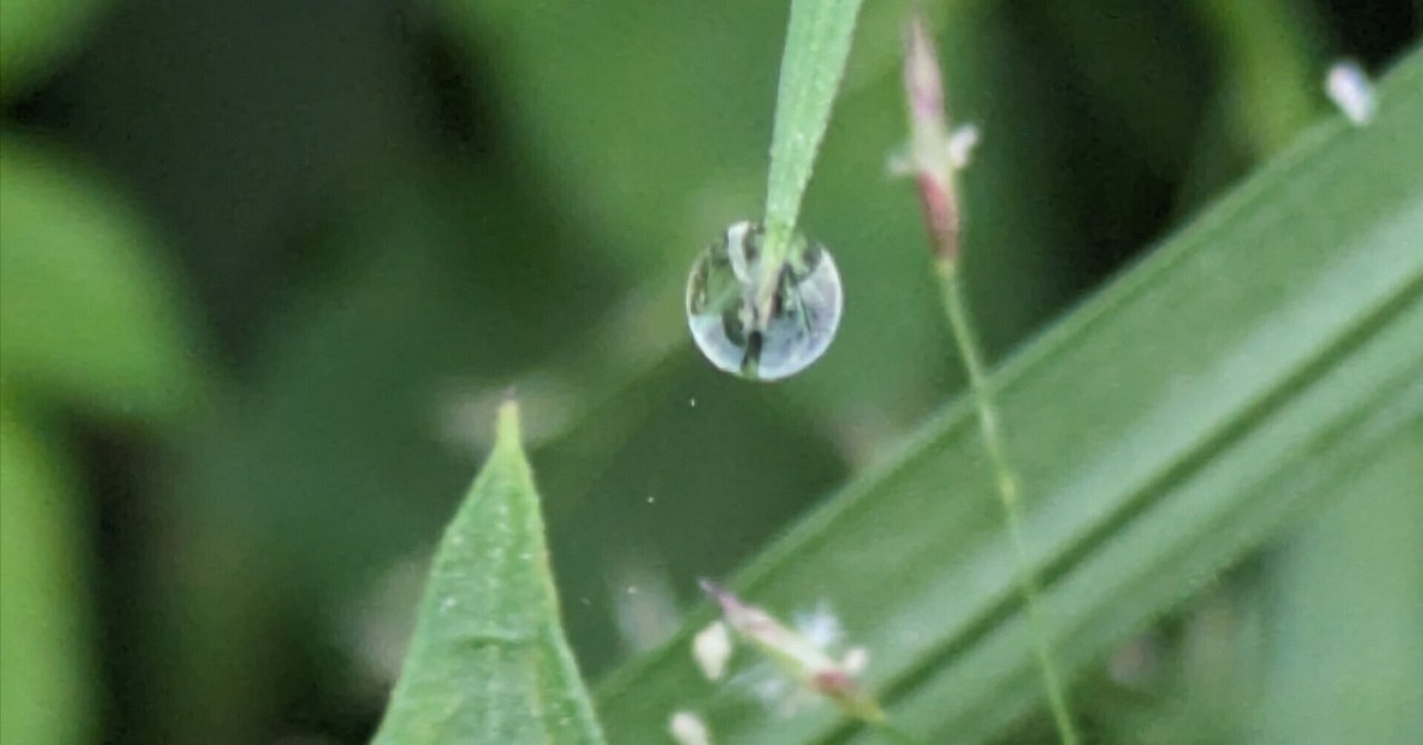 第1巻56番〜作者 春日蔵首｜ichiro70