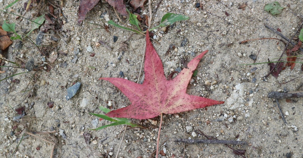 いのち｜mao_asobi