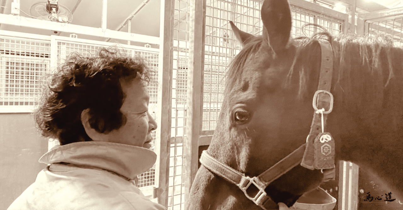 自己紹介。｜tom_miyata