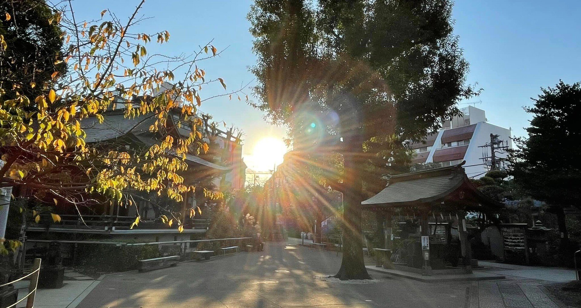 スーパーナチュラルヒューマン｜Megumi Kato｜note