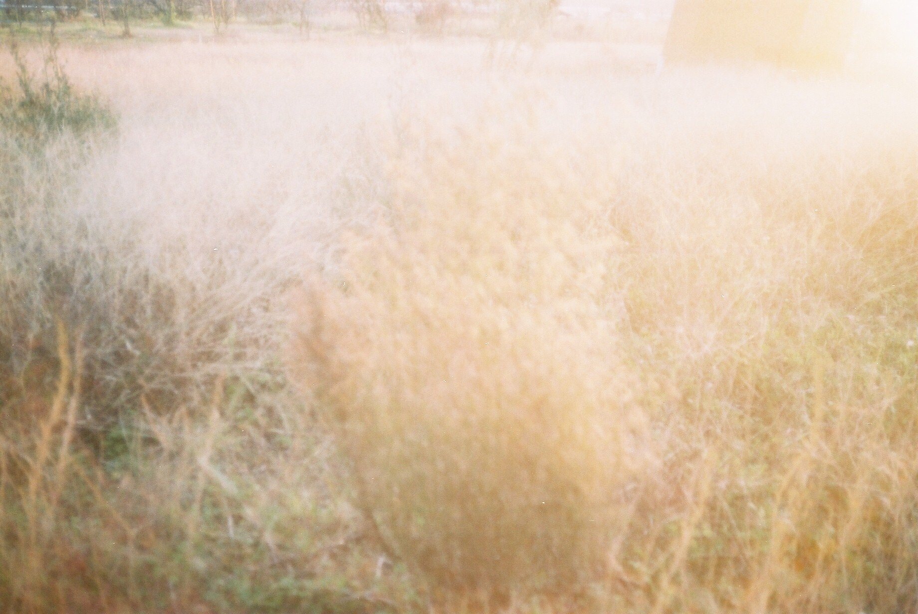 Tatsuki Inoue｜note