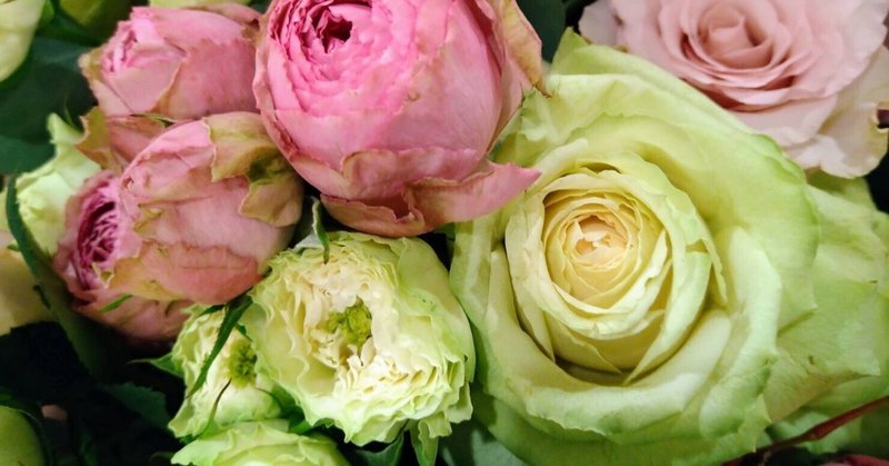 natsu/webライター｜note