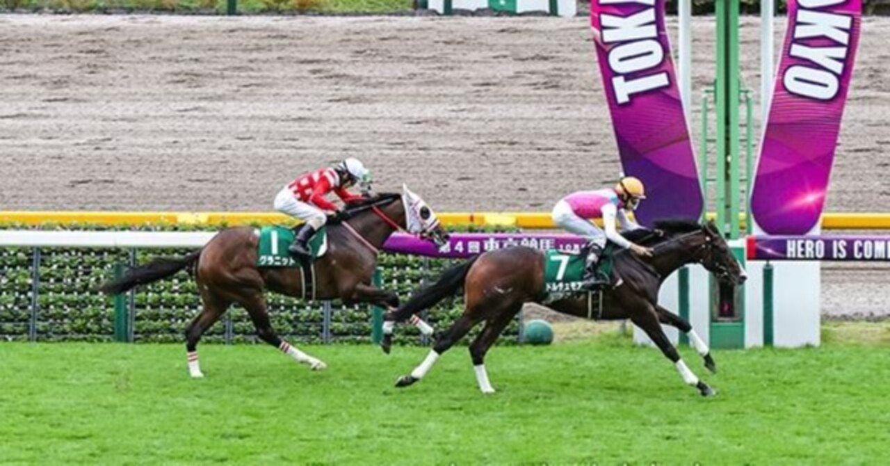 【2023 サウジアラビアRC（G3）】日刊馬番コンピ指数分析予想篇｜Haya